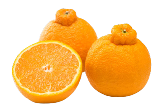 The Unique Appeal of Dekapon Citrus – Denver Fruitier